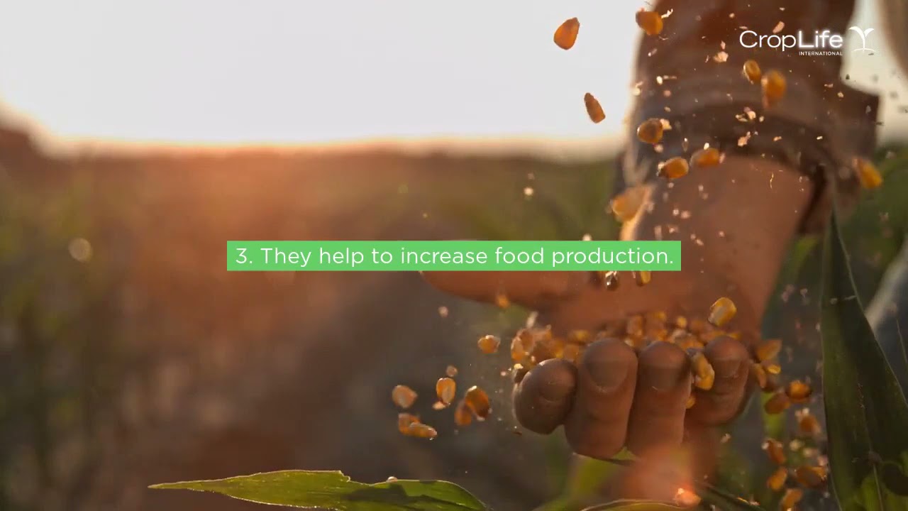 Top 5 Benefits of Pollinators - Croplife India